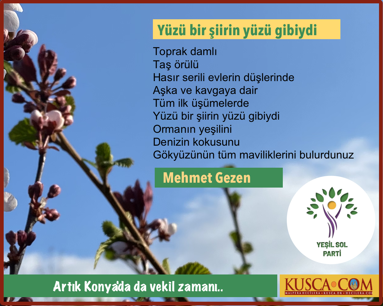 Yüzü bir şiirin yüzü gibiydi - Kusca.com